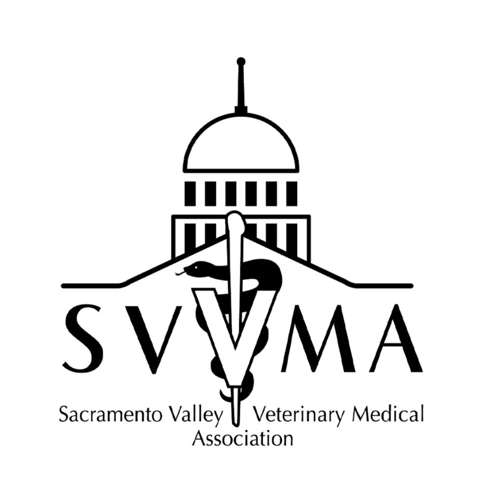 Ultrasound for Dog Abdominal Issues: Diagnosing Problems